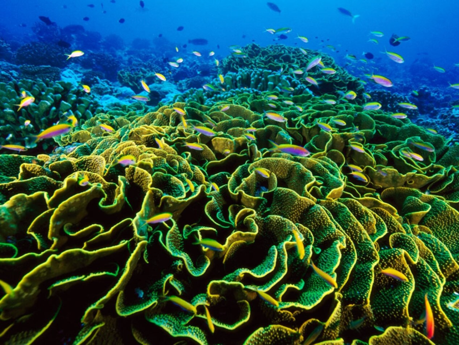 Reef Islands, Atolls… A Look at Kiribati’s Geography. – My Virtual ...