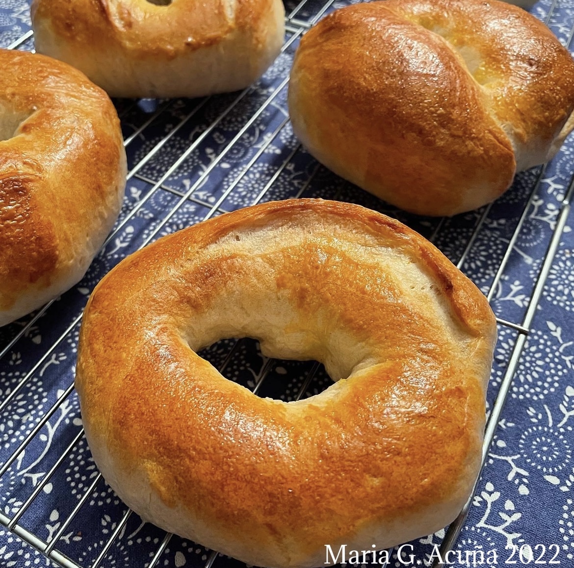 Making Bagels from Scratch! It was easier than I thought! – My Virtual ...