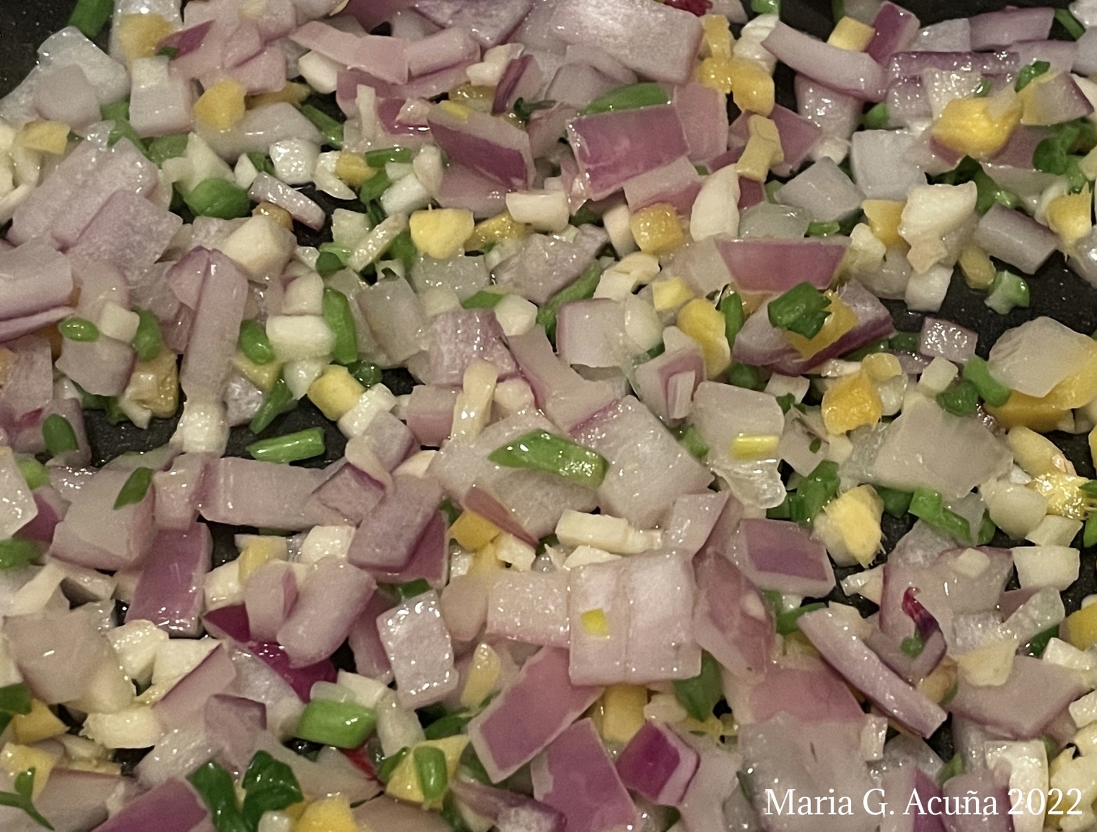 Making Mohinga, Myanmar’s National Dish – My Virtual World Trip