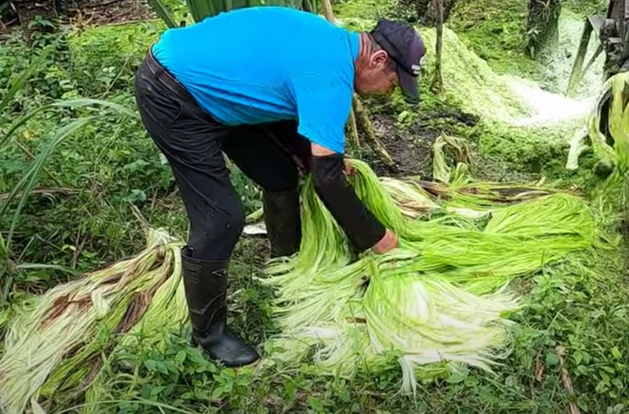 Colombian Weaving Crafts – My Virtual World Trip