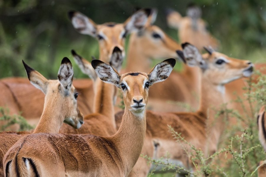 The Geography of Rwanda – My Virtual World Trip