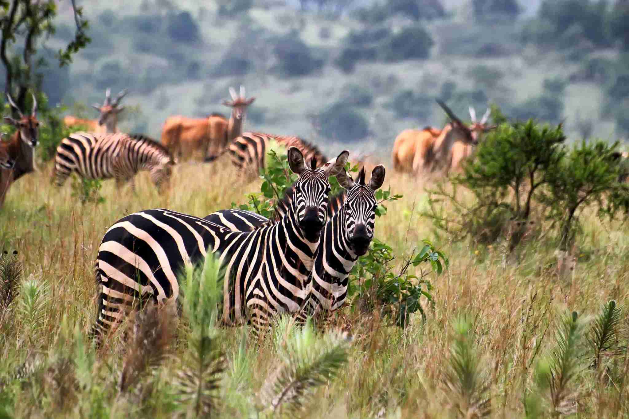 The Geography of Rwanda – My Virtual World Trip