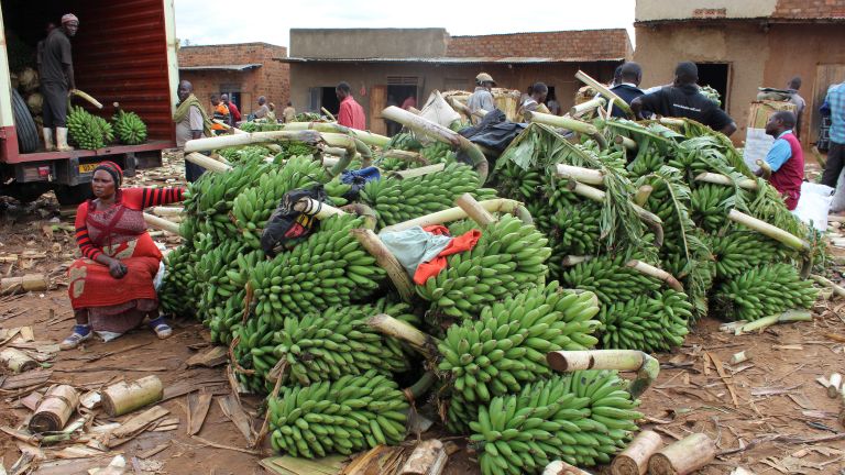 Traditional Rwandan Dishes – My Virtual World Trip