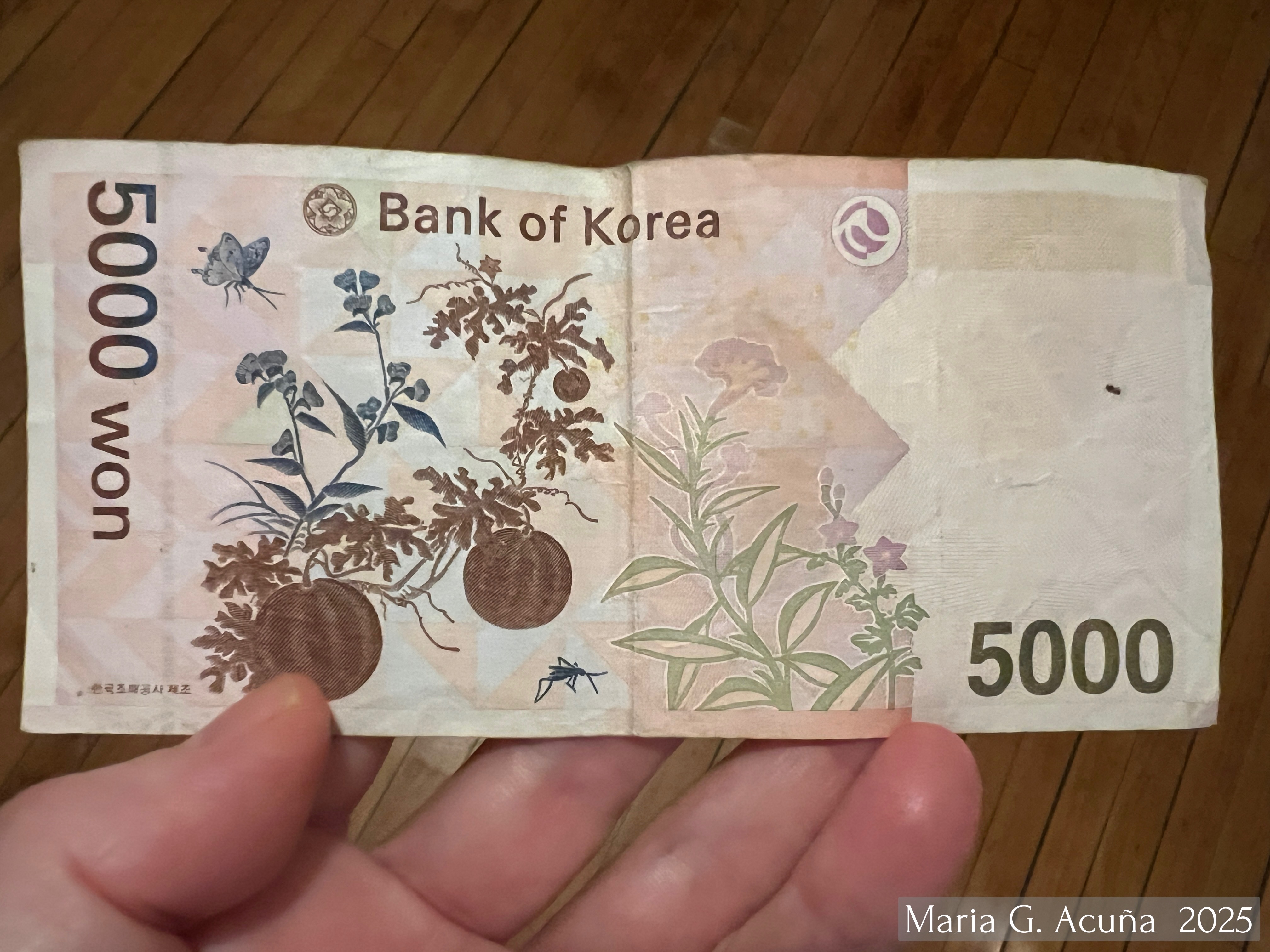 Minhwa (민화) Painting of the People during the Joseon Era. Part I – My ...